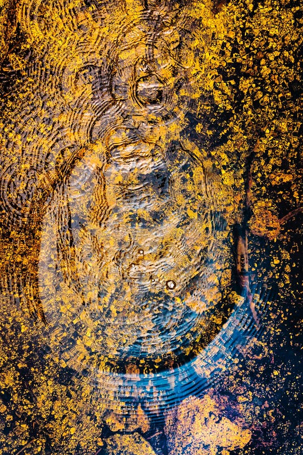 Circles on the water. stock image. Image of germany - 123084895