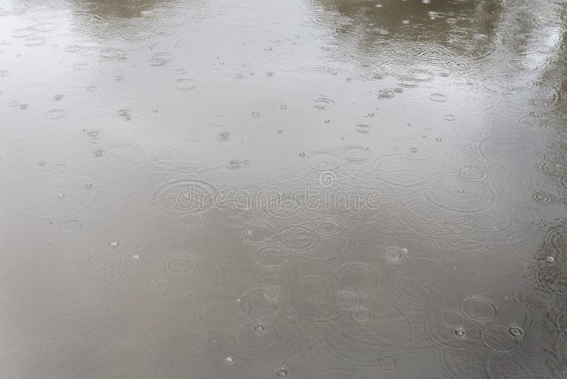 Circles on the Water from the Rain. Stock Image - Image of stormy, drip ...