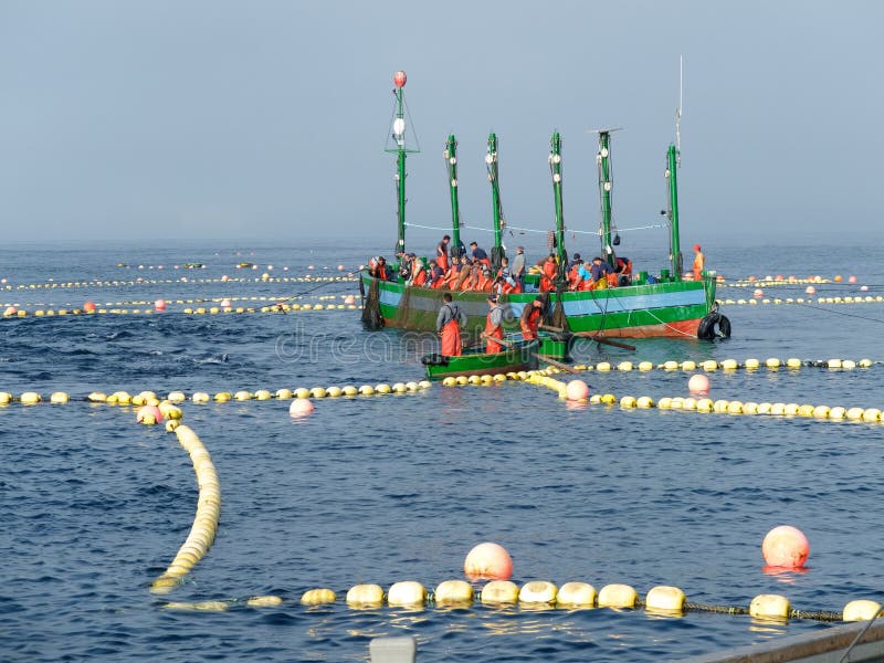 Circuito De Boyas Con El Barco De Pesca Y El Barco De La Ayuda Foto ...