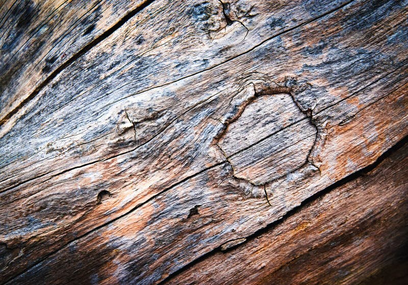 Circular Abstract Shape on Old Wood Stock Image - Image of nature ...