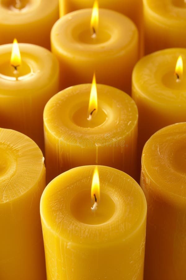 Circular Arrangement of Candles Emitting Warm Light Minimalistic Focus ...