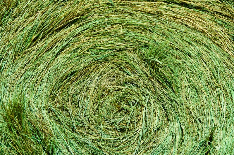 Circular Bale Green Hay Abstract Background Stock Photos - Free ...