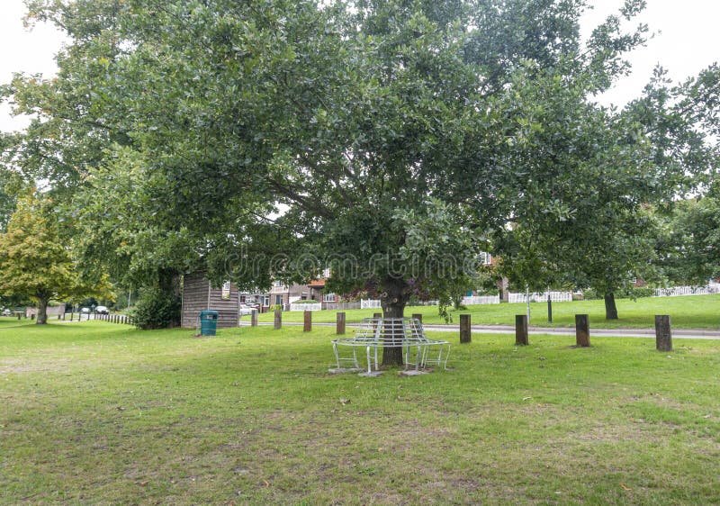 Circular Bench Around a Tree Stock Photo - Image of travel, surrey ...
