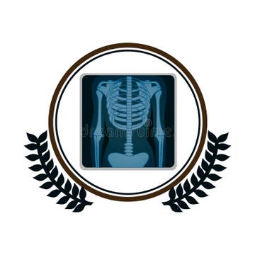 Bones Border Stock Illustrations – 761 Bones Border Stock Illustrations ...