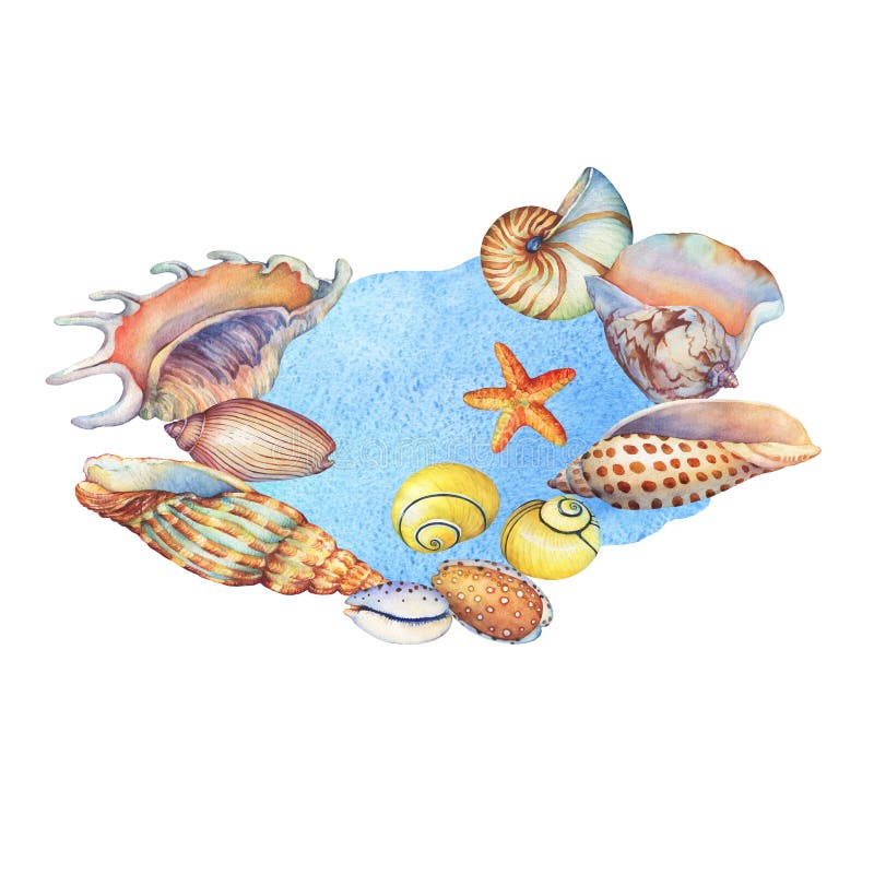 The Circular Composition with Sea Shells on a Blue Watercolor ...