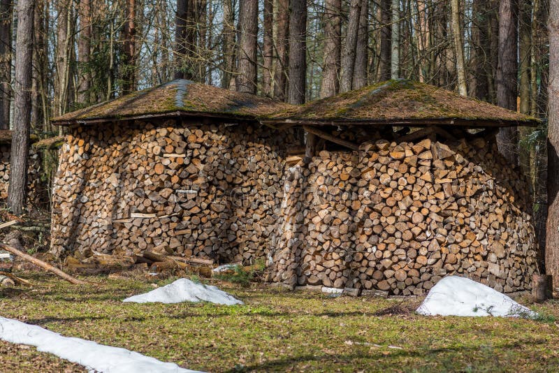 306 Circular Log Pieces Stock Photos - Free & Royalty-Free Stock Photos ...