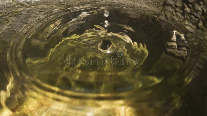 Circular Dim Water. Pure Water Vibration Stock Image - Image of light ...