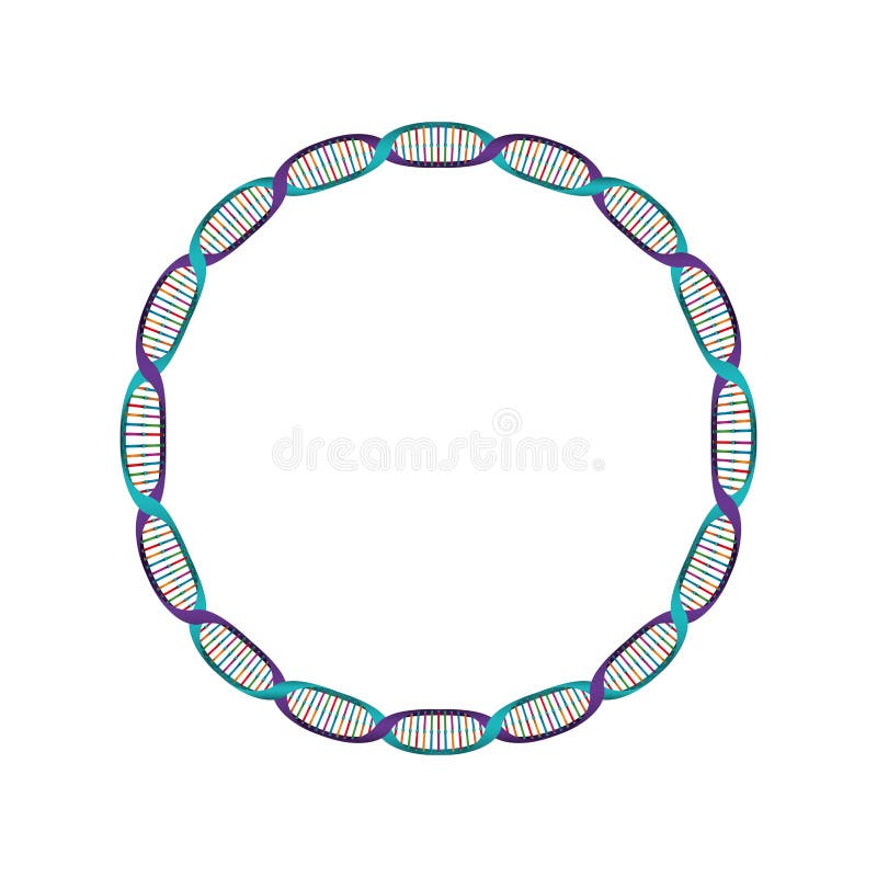 Circular Dna Chain Science Icon Stock Vector - Illustration of heredity ...