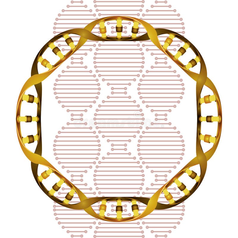 Circular Dna Chain Science Icon Stock Vector - Illustration of heredity ...