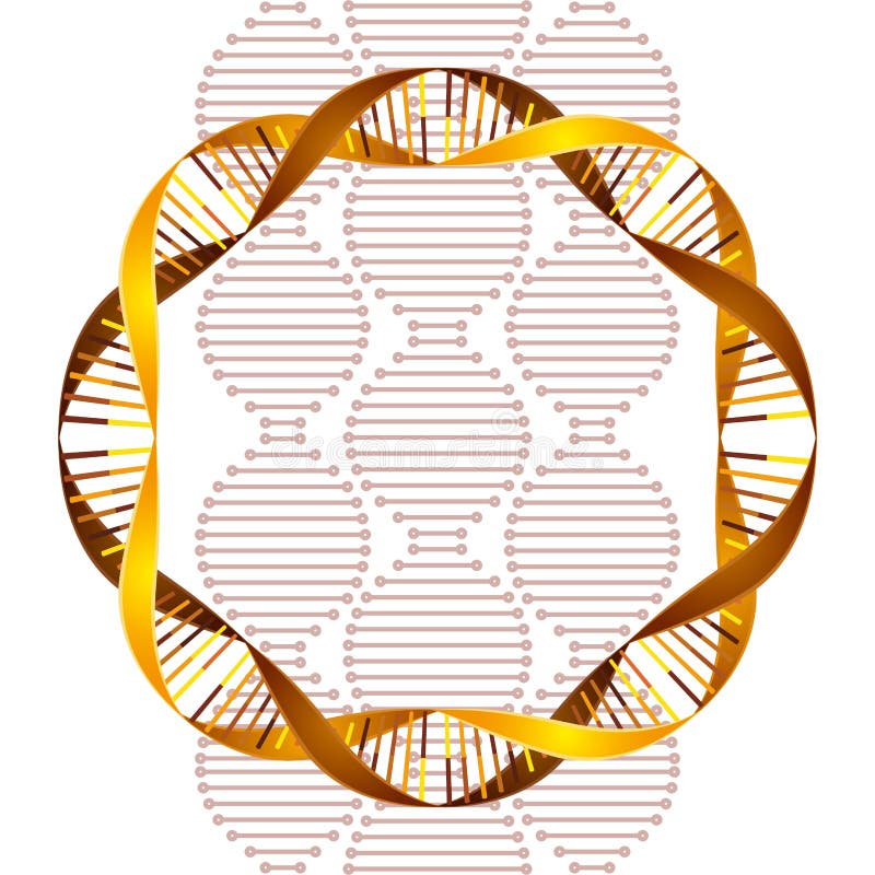 Circular Dna Chain Science Icon Stock Vector - Illustration of ...