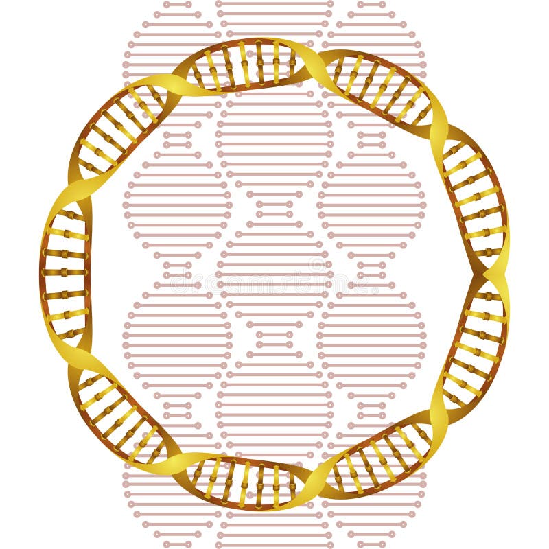 Circular Dna Chain Science Icon Stock Vector - Illustration of atom ...