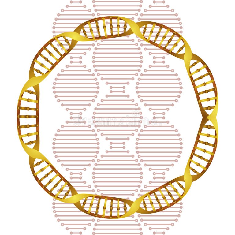 Circular Dna Chain Science Icon Stock Vector - Illustration of atom ...