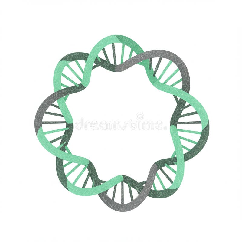 Gray Dna Double Helix Structure Illustration Stock Illustrations – 123 ...