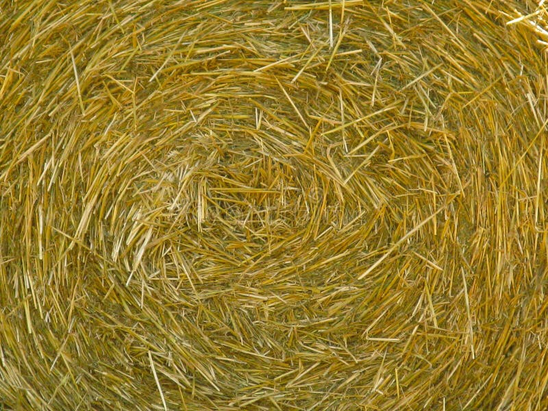 Circular hay bale side on stock image. Image of helix - 43165699