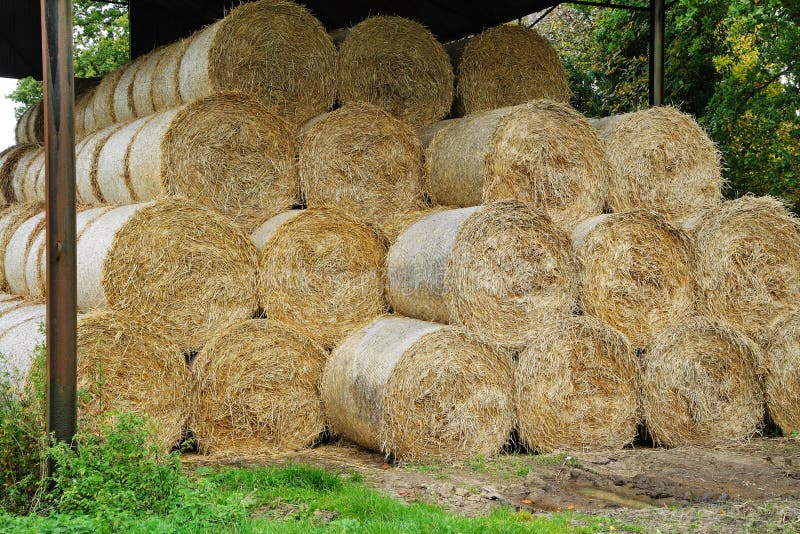 Circular Hay Bales in a Barn Stock Image - Image of tiers, circles ...