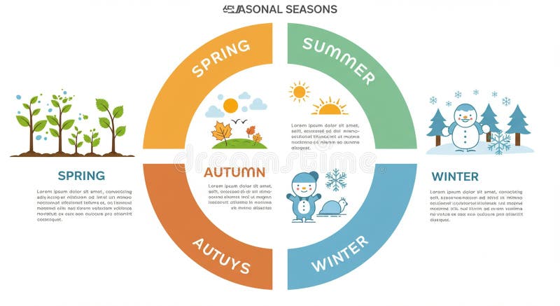 Circular Infographic Representing Four Seasons: Spring, Summer, Autumn ...