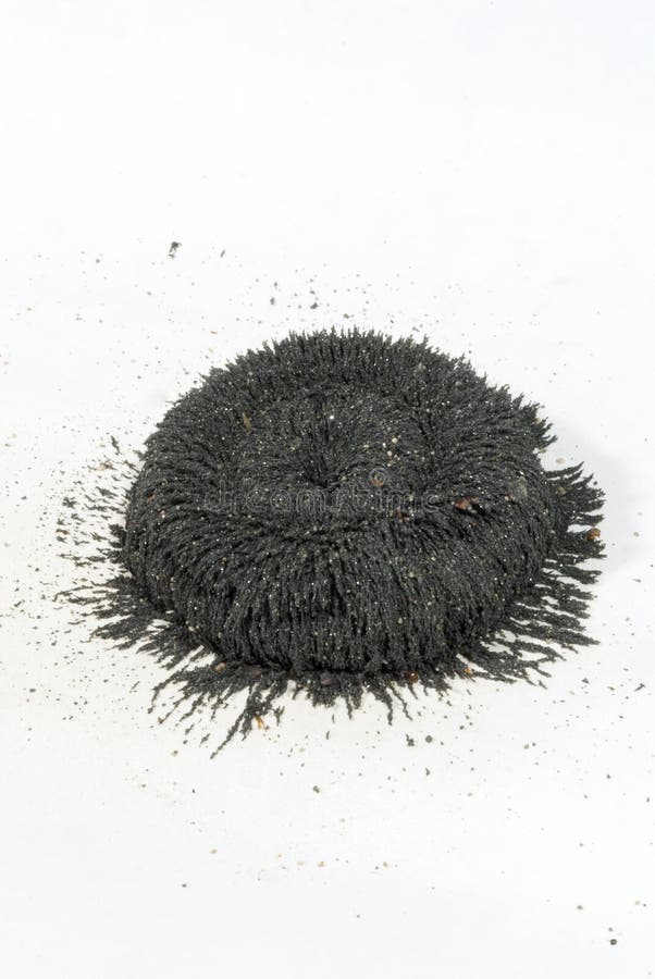 Circular Magnet with Iron Particles on White Background. Stock Photo ...