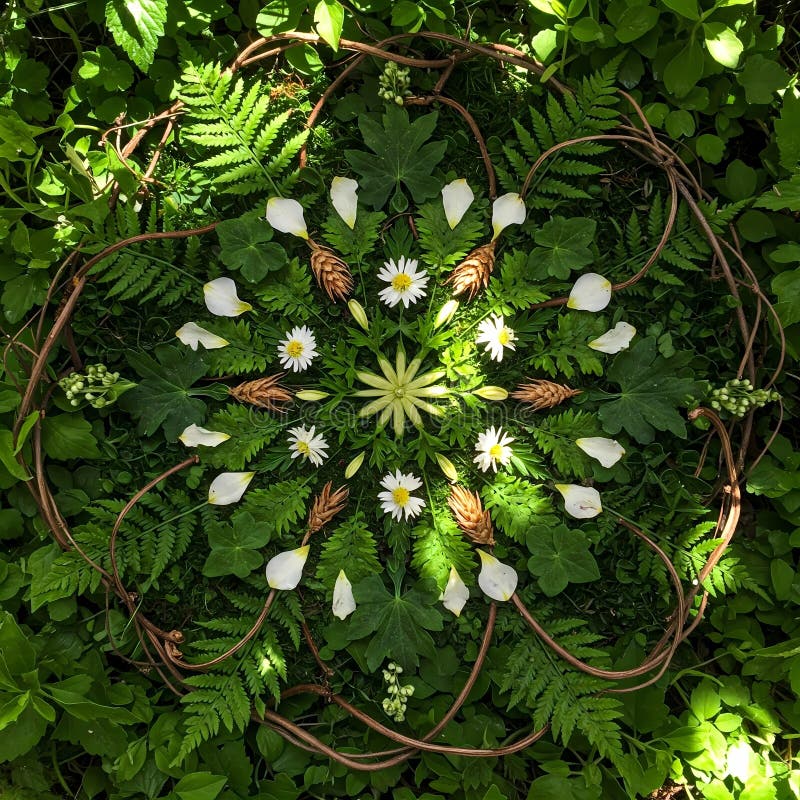A Circular Mandala Pattern Composed of Various Natural Elements is ...