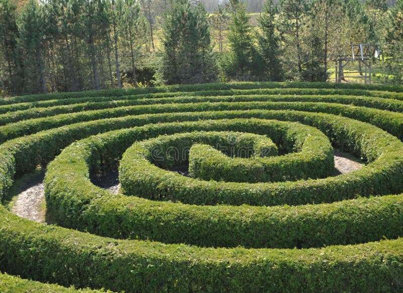 Mind Boggling Garden maze editorial photography. Image of beautiful ...