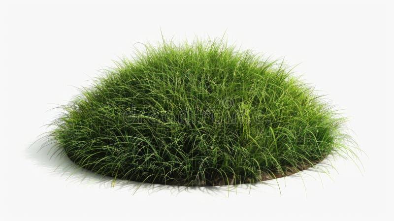 Circular Grass Patch Isolated White Stock Photos - Free & Royalty-Free ...