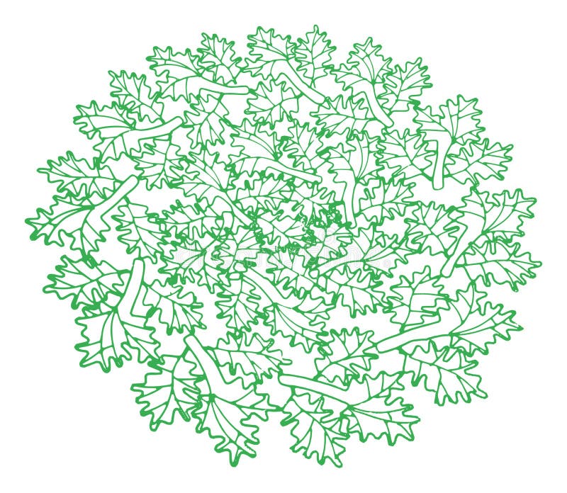 Circular Pattern with an Oak Leaf Motif. Ornamental Abstract Pattern ...