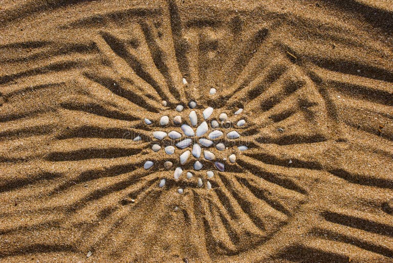 109 Sea Shells Drawings Stock Photos - Free & Royalty-Free Stock Photos ...