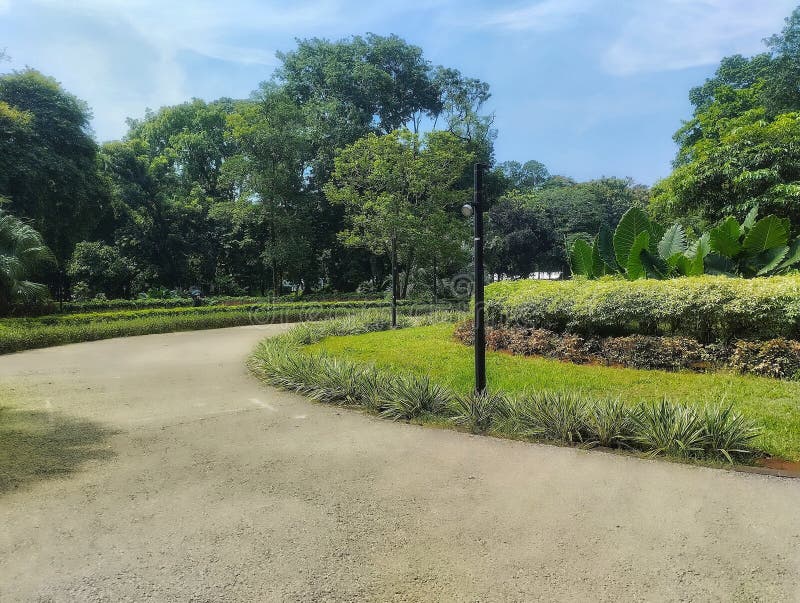 Circular Road in a City Park and Green Trees Stock Image - Image of ...
