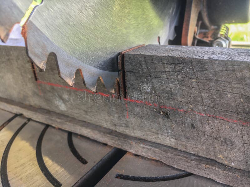 Circular Saw at Marking on Wood. Carpenter Using Circular Saw for Wood ...