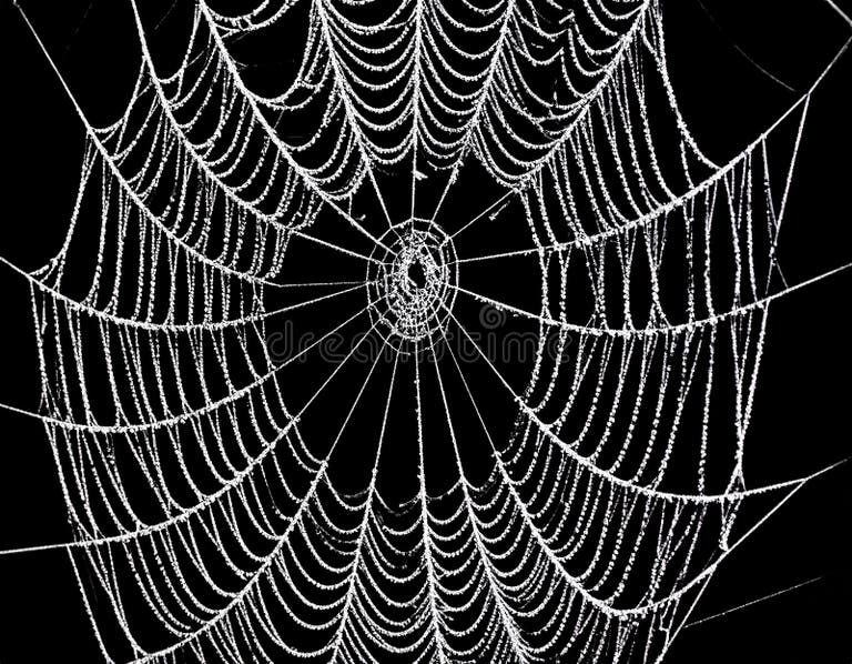 Real Frost Covered Spider Web Isolated on Black Stock Illustration ...