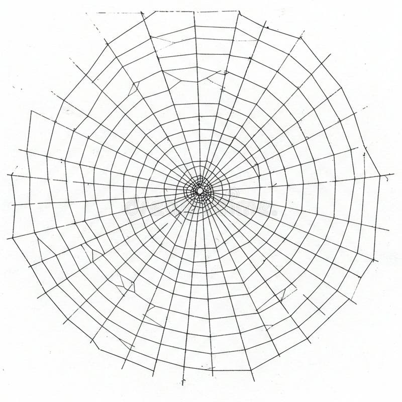 Spider Web Diagram Stock Illustrations – 2,367 Spider Web Diagram Stock ...