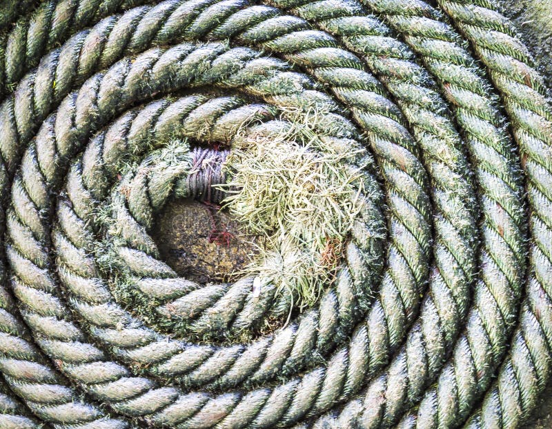Circular Spirally of Nautical Rope Stock Image - Image of striped, coil ...