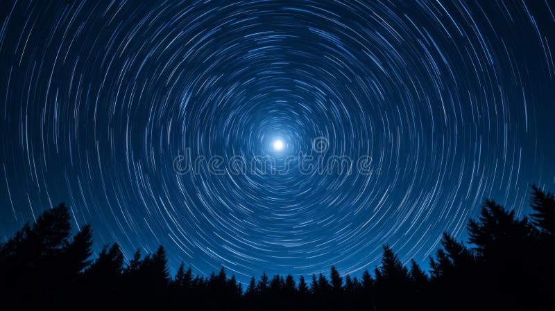 Circular Star Trails Over Dark Forest at Night Stock Illustration ...