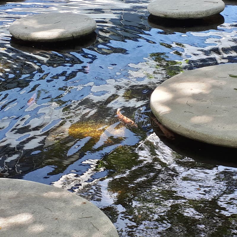 Circular Fish Pond and Fountain. Stock Photo - Image of nature, water ...