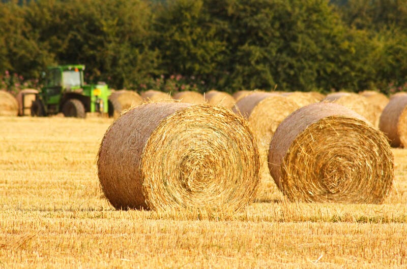 Farmer and hay bales stock image. Image of commodities - 214547