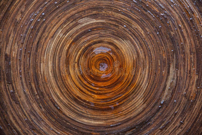 Circular wood texture stock photo. Image of carpentry - 83206412