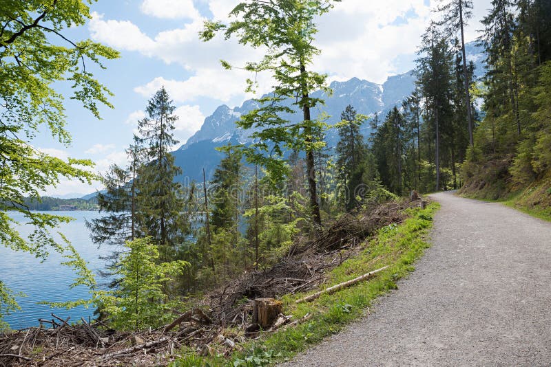 Circular Trail Around Lake Eibsee, with Trees beside and Mountain View ...
