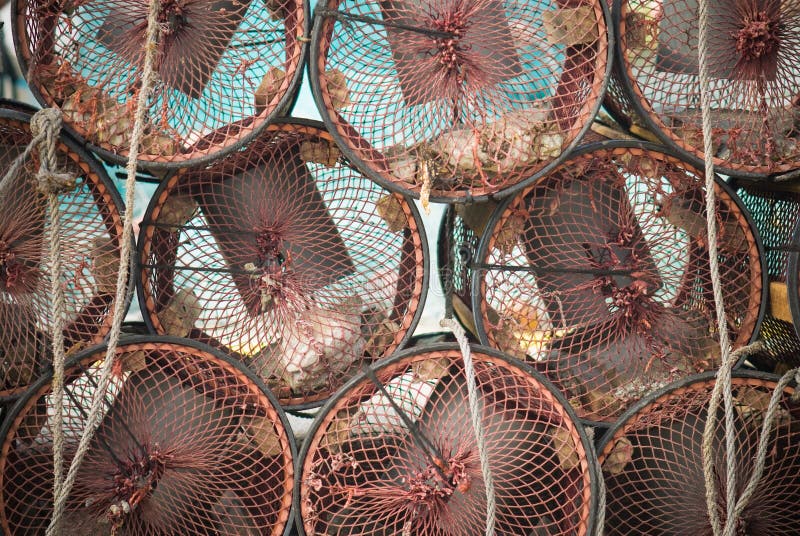 Circular Traps stock photo. Image of galicia, nets, horizontal - 22976822