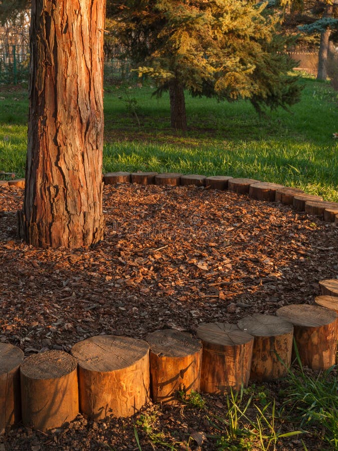 Circular Tree Base Surround Bark and Grass Stock Image - Image of ...