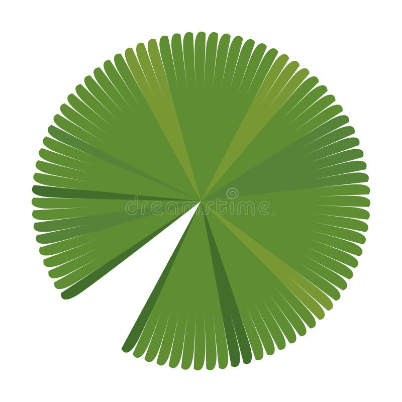 Circular tropical leaf stock vector. Illustration of vector - 228279187