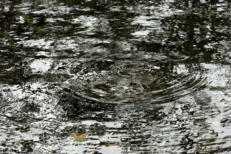 Circular Waves & Water Reflection Stock Photo - Image of white, level ...