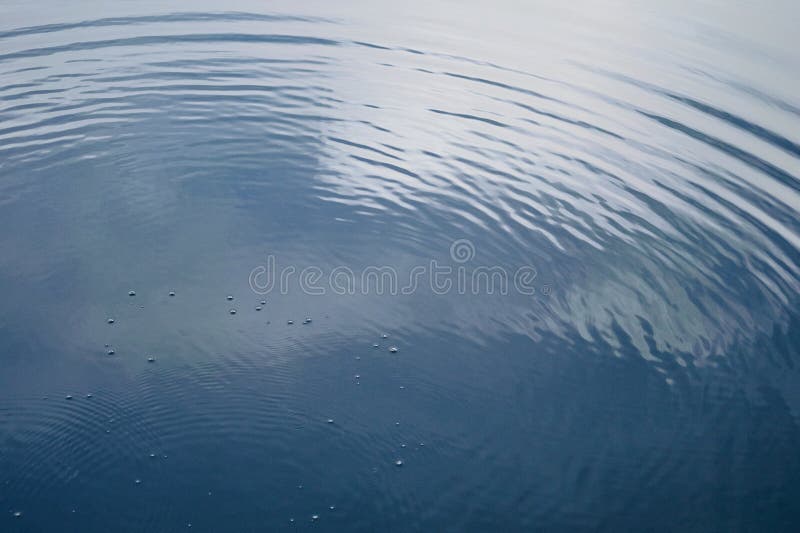 Circular Waves on the Water Stock Image - Image of natural, abstract ...