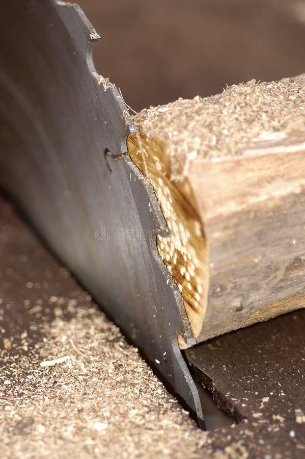A Circular Wood Saw and Wood Stock Photo - Image of accessibility, dust ...