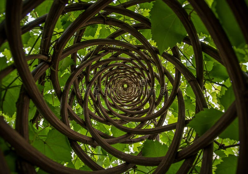 Circular Wooden Structure with Intertwined Vines Forming a Spiral ...