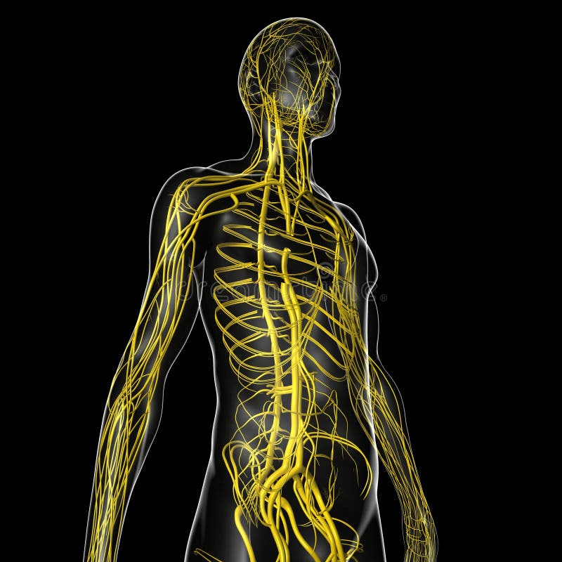 Stabilize Energy Stock Illustrations – 24 Stabilize Energy Stock ...