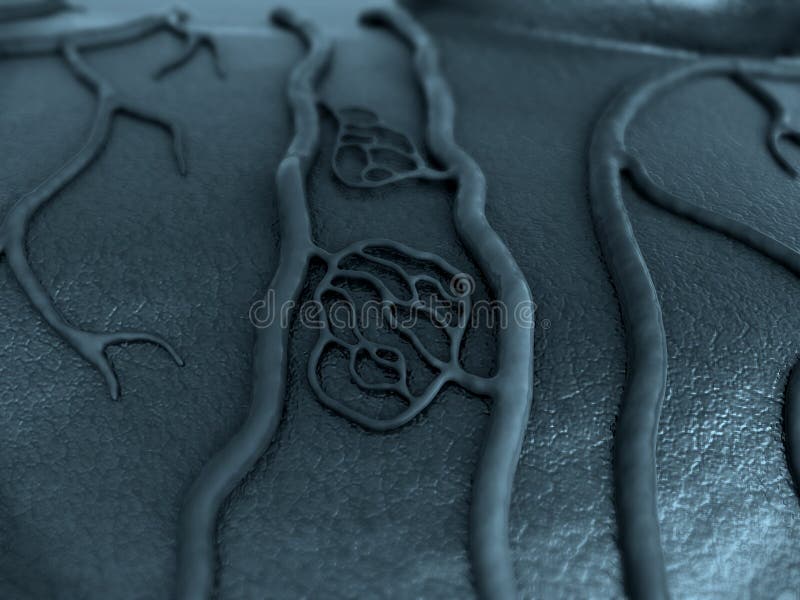 Human circulatory system stock illustration. Illustration of computer ...