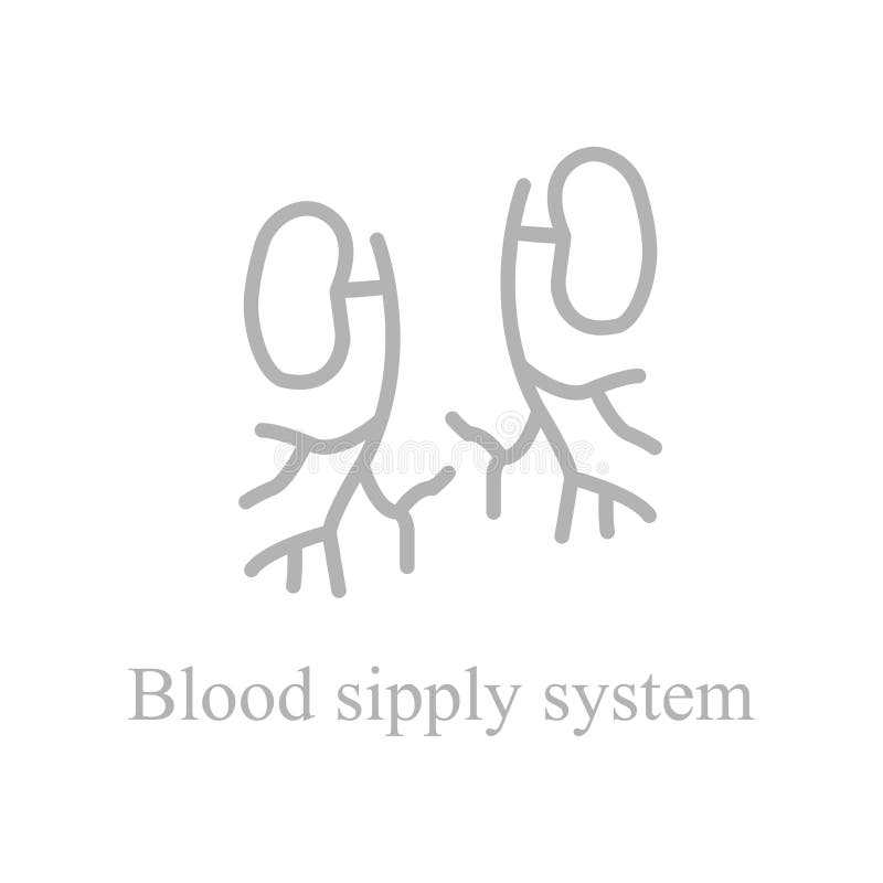 Circulatory System Icon on a White Background, Vector Illustration ...
