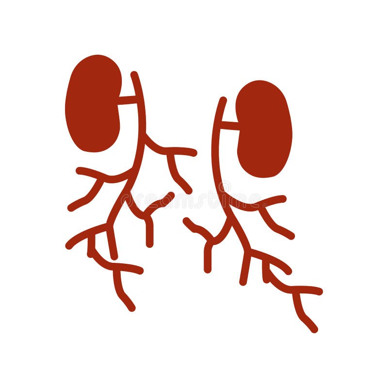 Circulatory System Icon on a White Background, Vector Illustration ...