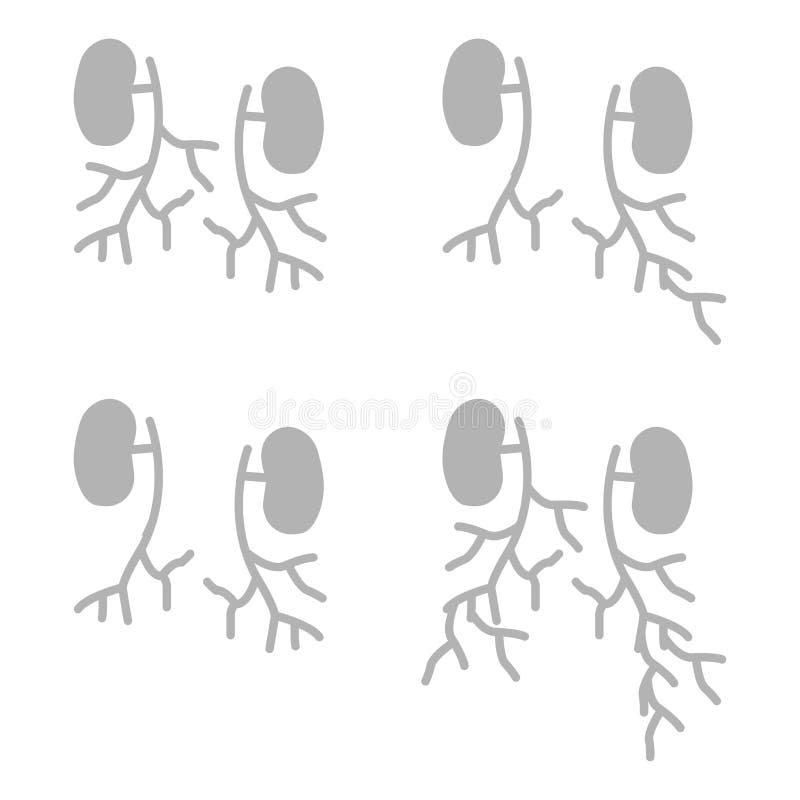 Circulatory System Icon on a White Background, Vector Illustration ...