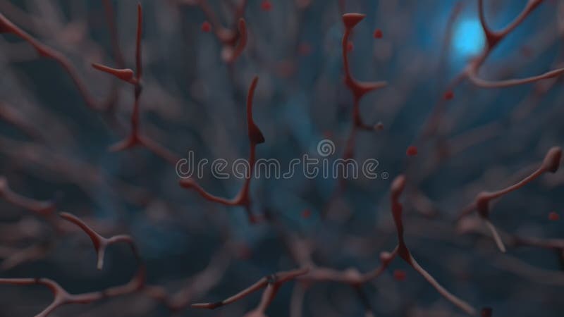 Image of Circulatory System Stock Illustration - Illustration of ...