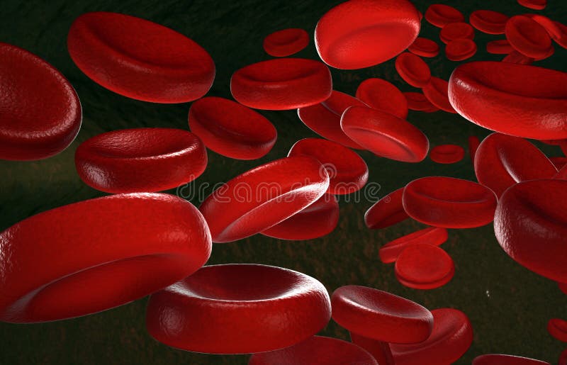 Circuler De Globules Rouges Illustration Stock - Illustration du ...